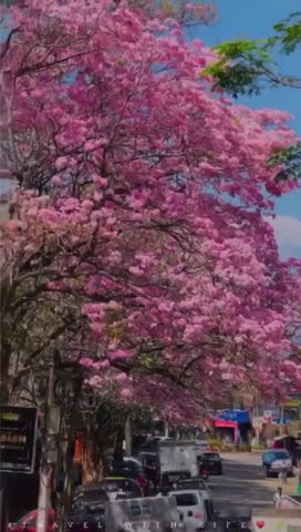 Rajawalla /Digana Town (Credit to=#traval with life) - YouTube