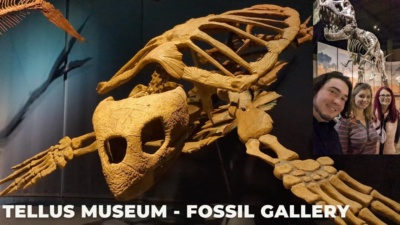 Tellus Museum - Fossil Gallery (Part 2 of 3) - YouTube