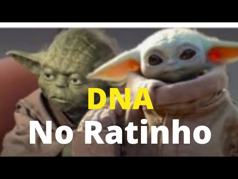 DNA NO RATINHO (Major e dez anos) de quem será esse menino, #humor Resenha Parodia Major e deizano