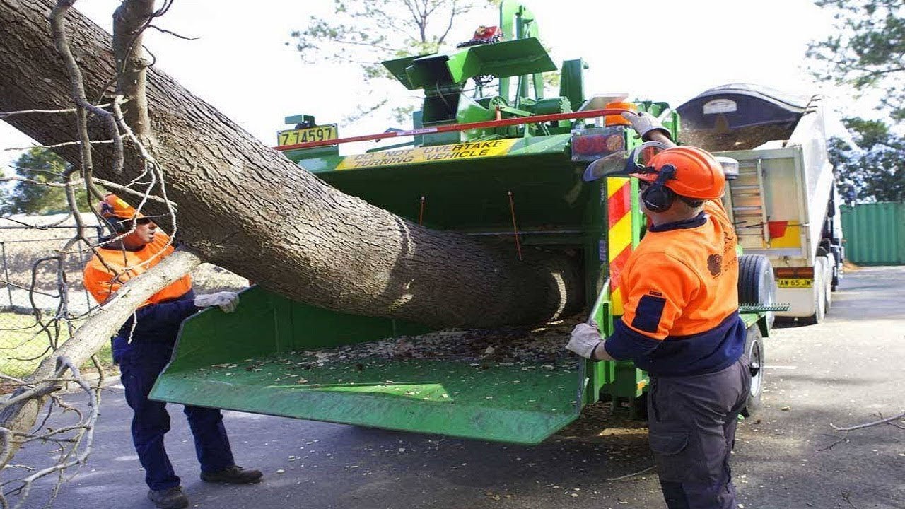 Amazing Big Wood Chipper Machines Modern, Fast Tree Saw Chain Machine ...