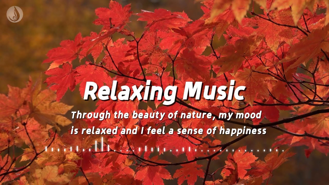 Through the beauty of nature, my mood is relaxed and I feel a sense of ...