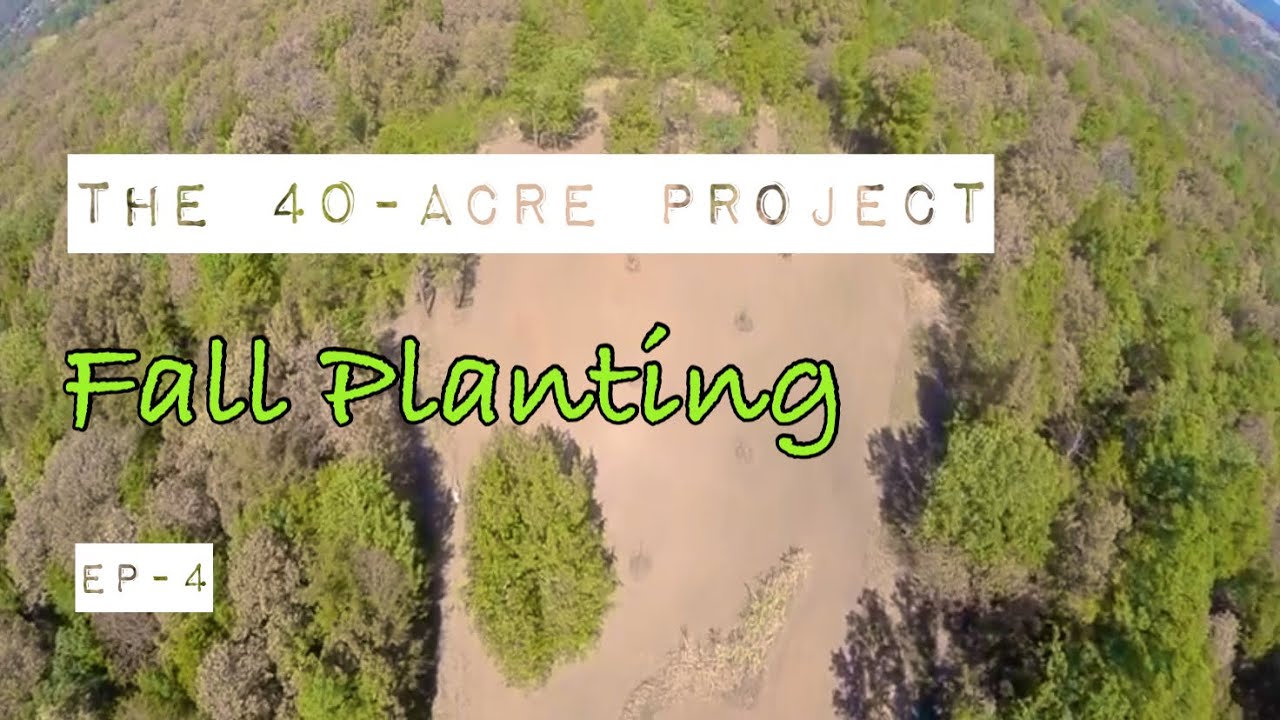 The 40-Acre Project...Step 4... Fall Planting - YouTube