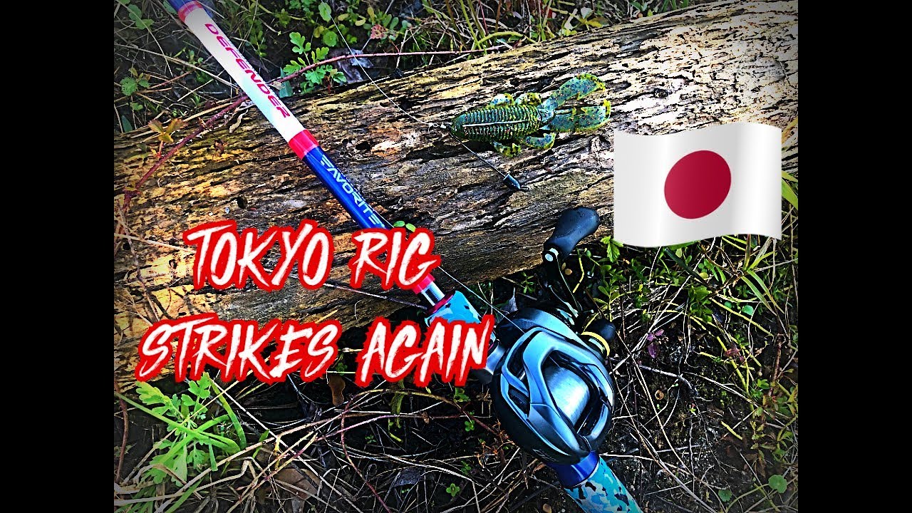 Tokyo Rig STRIKES Again!!! - YouTube
