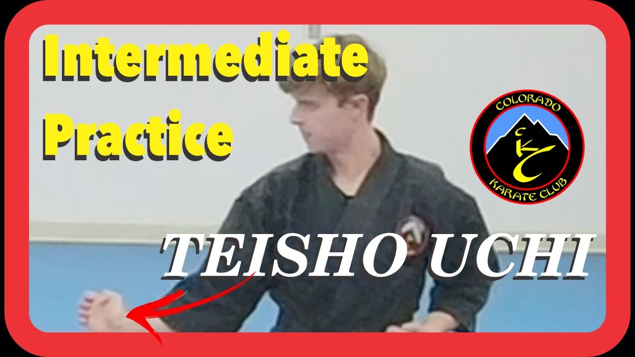 Intermediate Karate Practice Video - Teisho and More - YouTube