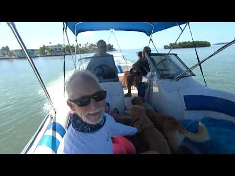 2019 Marvin Key - YouTube