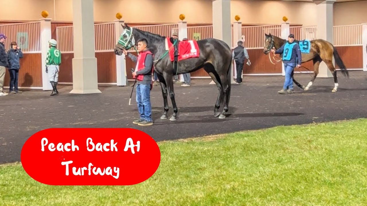 Peach Back At Turfway - YouTube