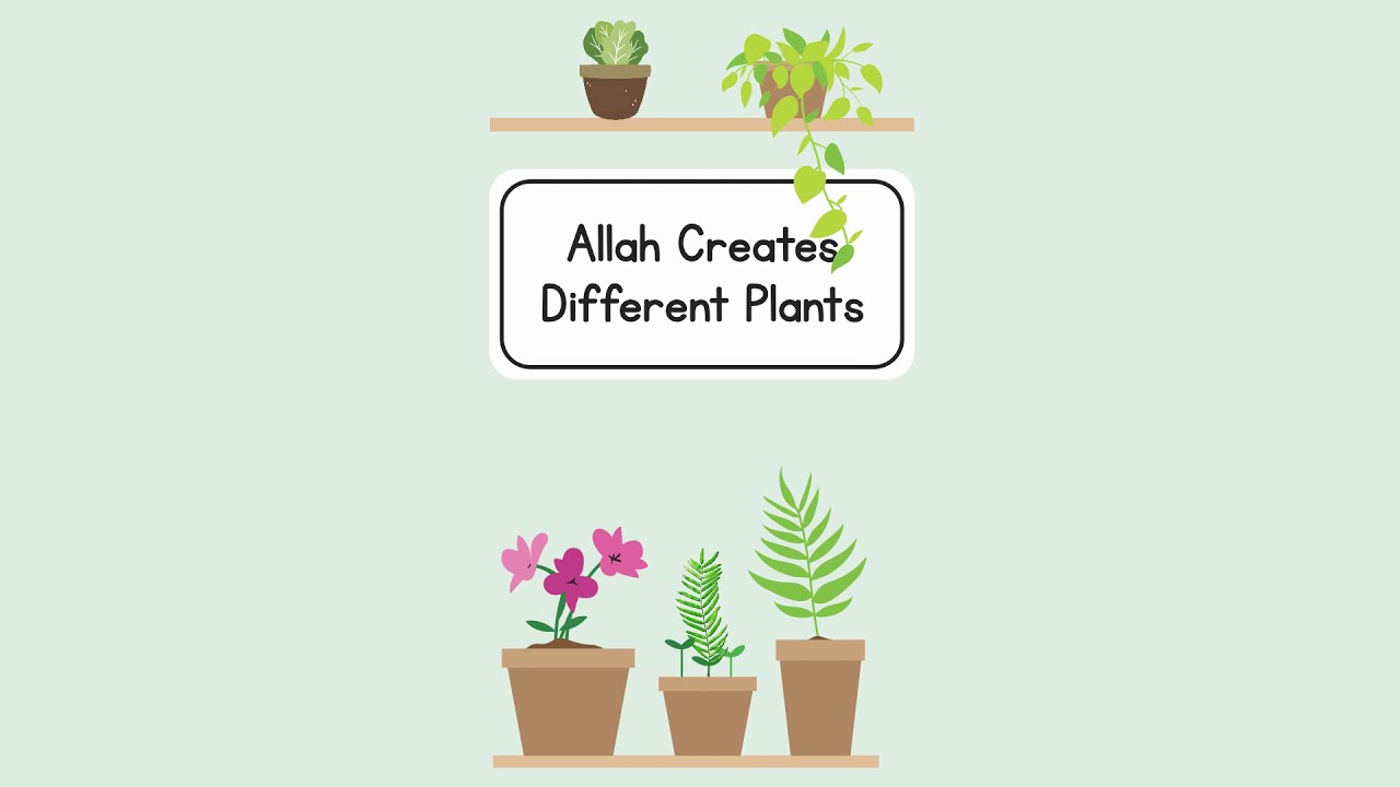 Allah Creates Different Plants - YouTube