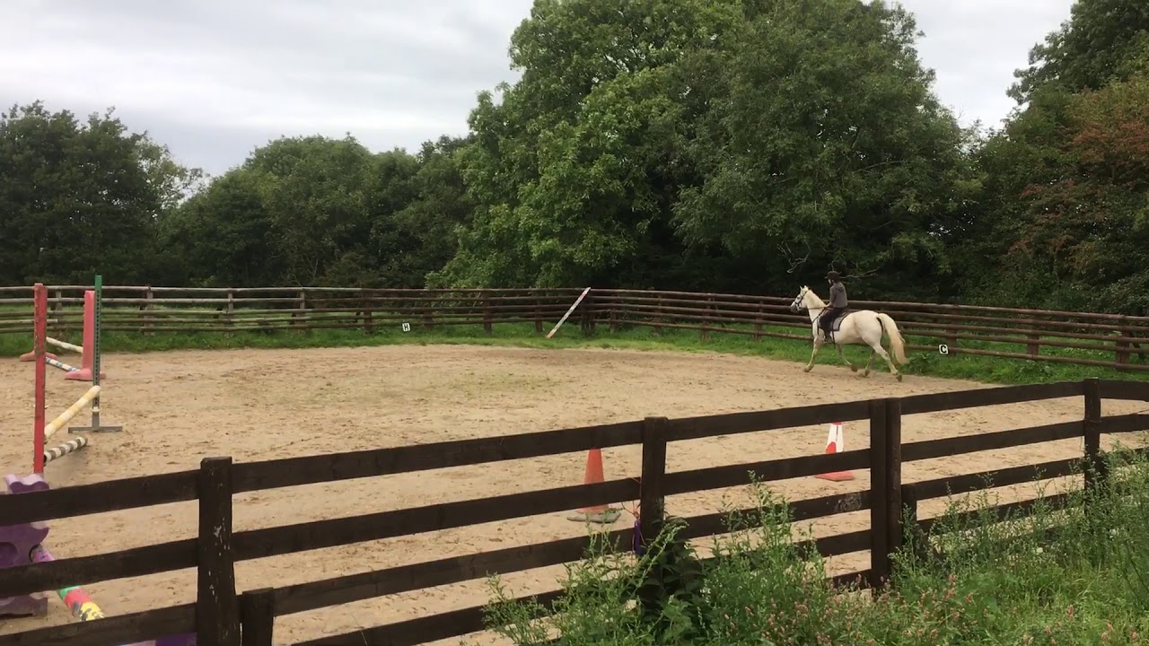 Havard stables Newport Pembrokeshire #amazing - YouTube