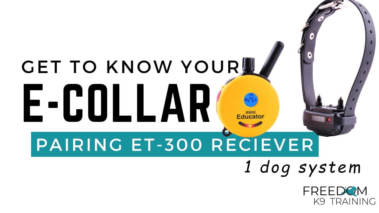 Pair (sync) New Receiver to E-collar - ET-300 Mini Educator | Freedom ...