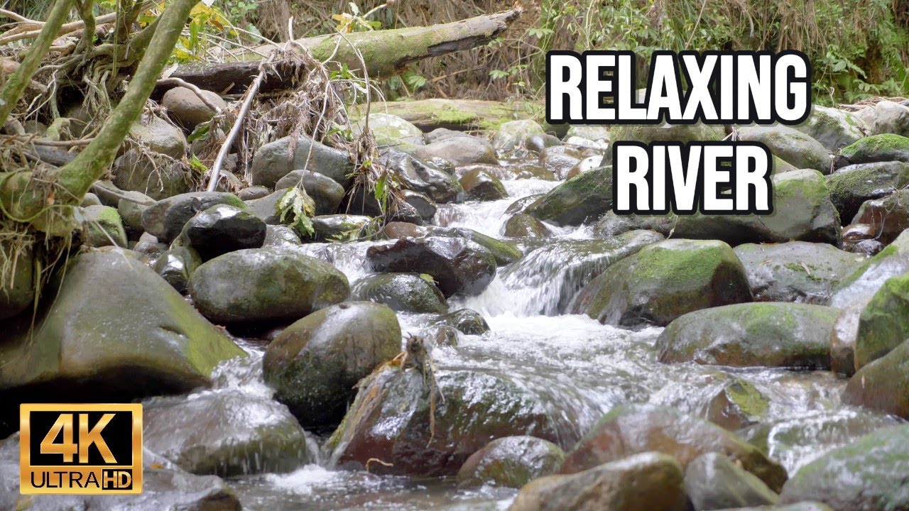 4K Relaxing River Stream Sounds - Peaceful Nature Film - YouTube