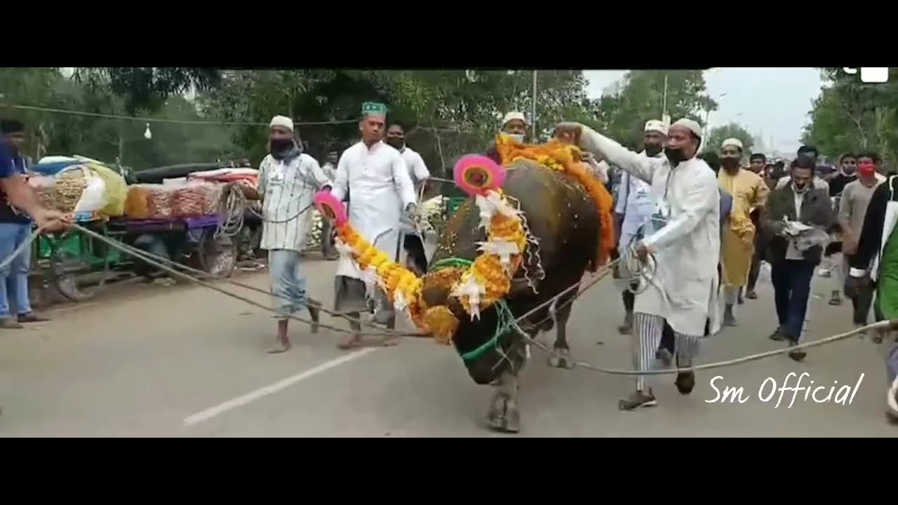 গাউছুল আজম মাইজভান্ডারি ১১৭ তম ওরশ ২০২৩ হাদিয়া//Maizbhandar Darbar ...