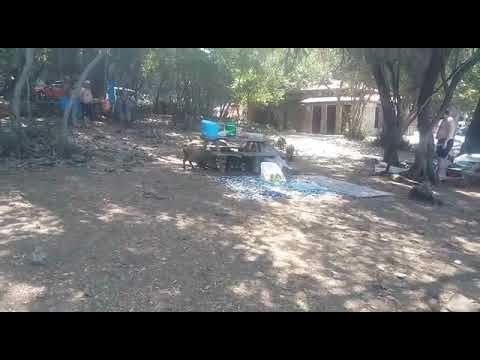 Domuz kovalayan küçük çocuk