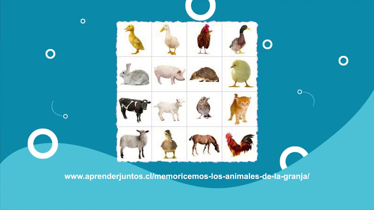 Actividad Memorice de animales de la granja / Vitamina en tu casa - YouTube