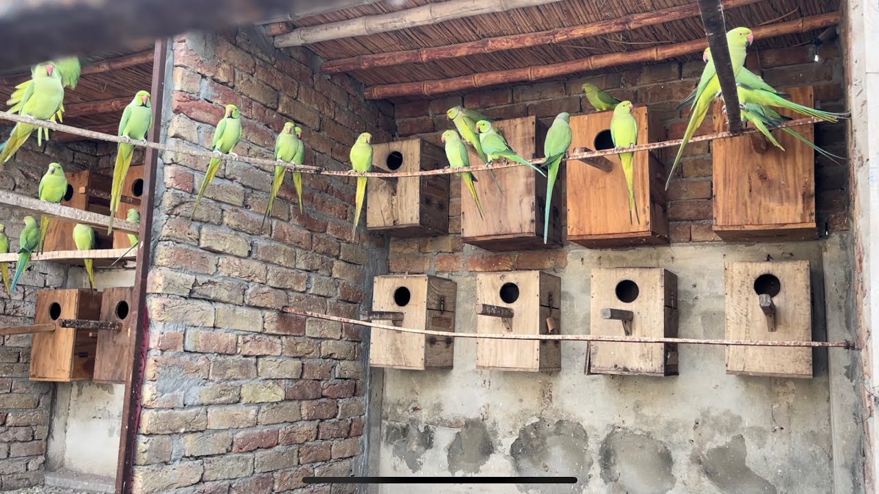 Watch my Full setup 😍 - YouTube