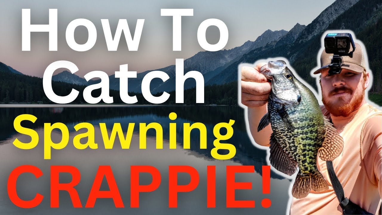 Catch LOADS Of Spawning Crappie From The Bank! - YouTube