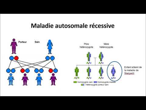 La génétique humaine - YouTube