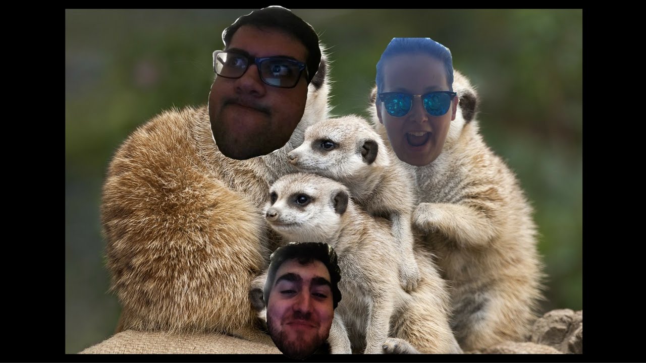 MEERKAT MANOR!!! - Alien Isolation Episode 9 - YouTube