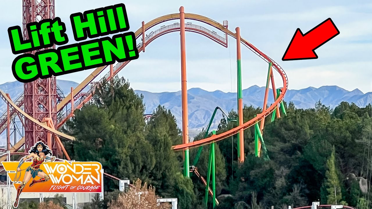 Tatsu Six Flags Magic Mountain