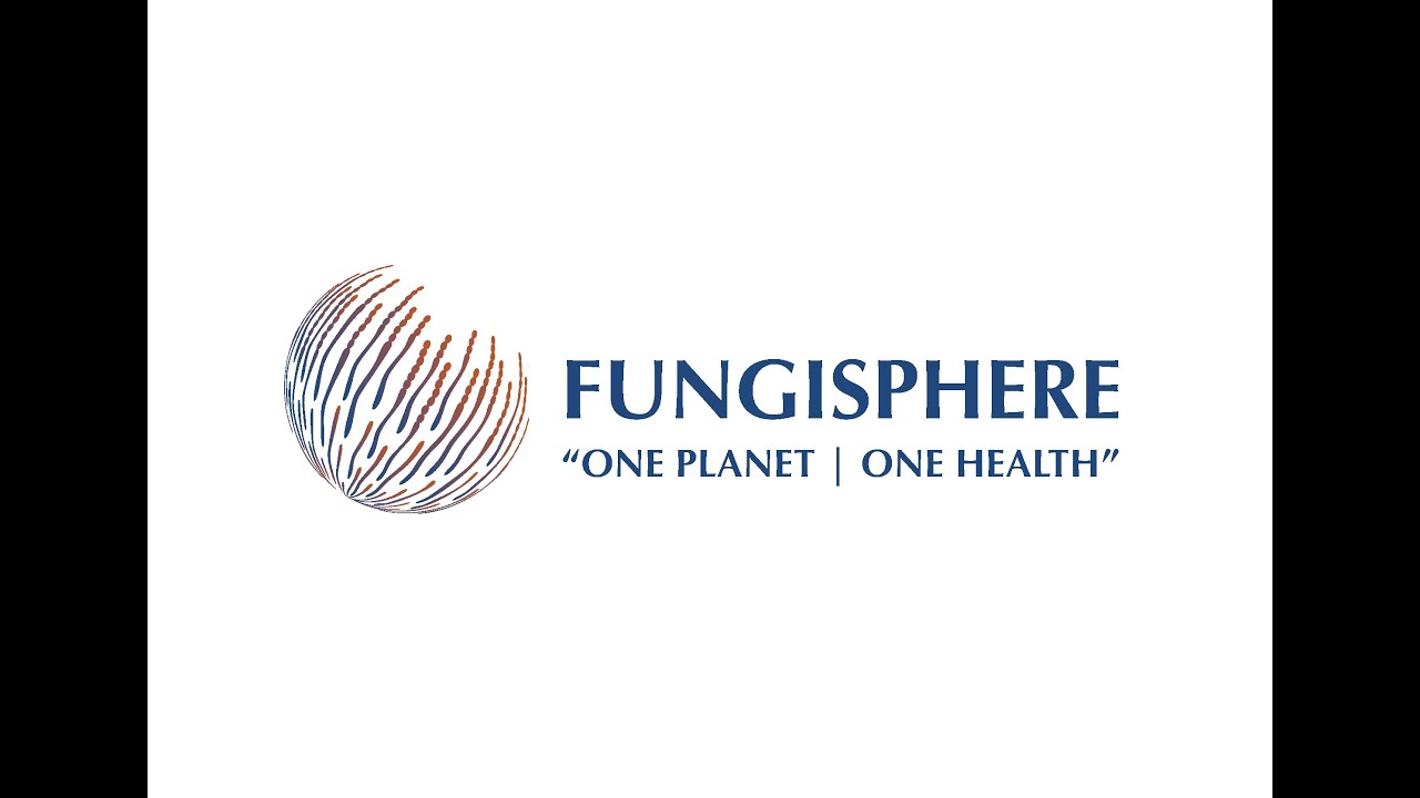 Fungisphere David Phalen Talk September 2020 - YouTube