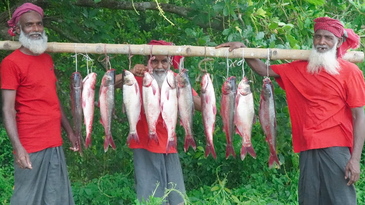 Delicious Silver Carp Fish Curry & Rice for the Elderly and Physically ...