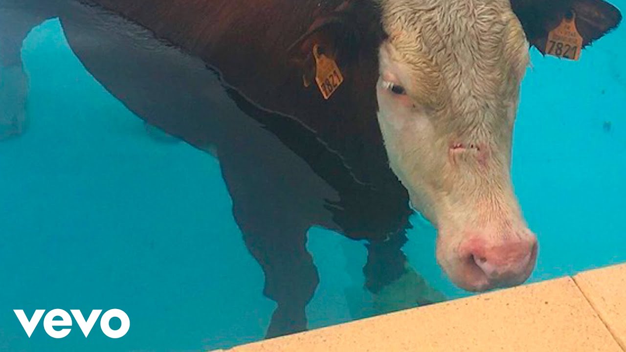 JonCosta - DROPA MISSO 2 - YouTube