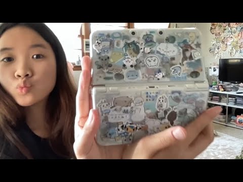 modded new 3ds case decorations + some screen themes I have saved - YouTube