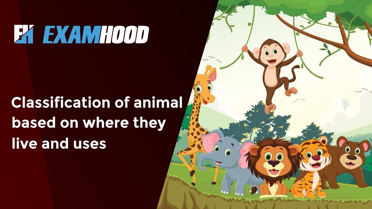 Classification of animals based on where they live and uses - YouTube