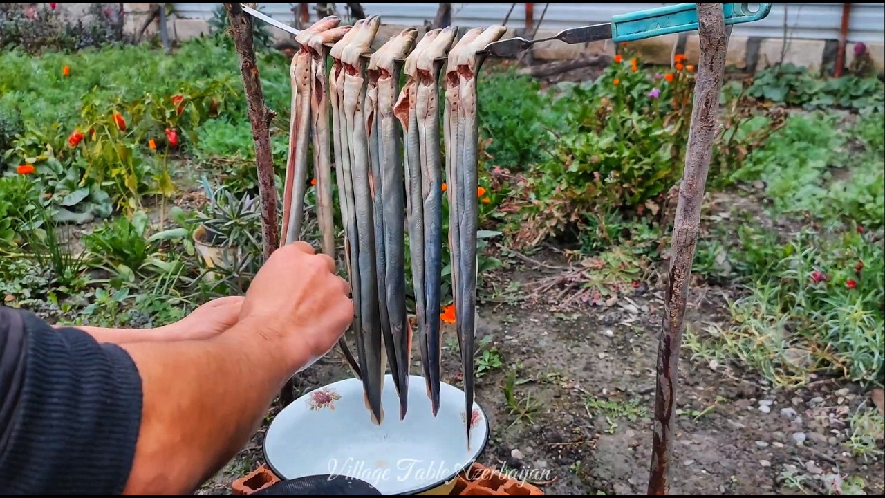 Grilled Eel Kebab in the Village | Traditional Snake Fish Cooking Over ...