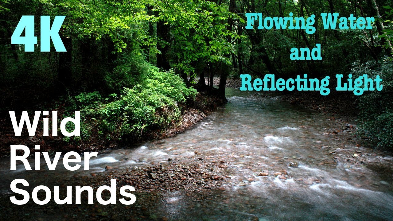 Healing Meditation - Wild River Sounds - Flowing Water and Reflecting ...