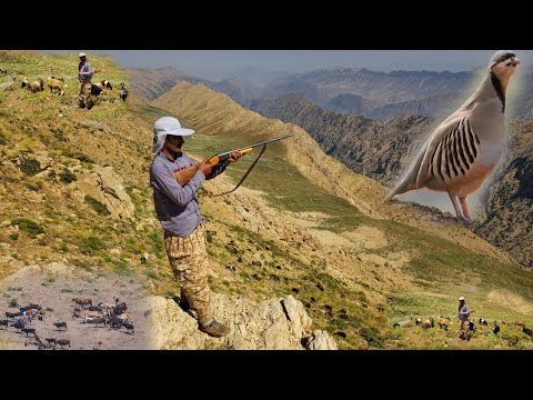 Nomadic Life: A Nomadic Shepherd's Journey in the Zagros 🏔️|Nomadic Adventure on Mountain Trails 🥾