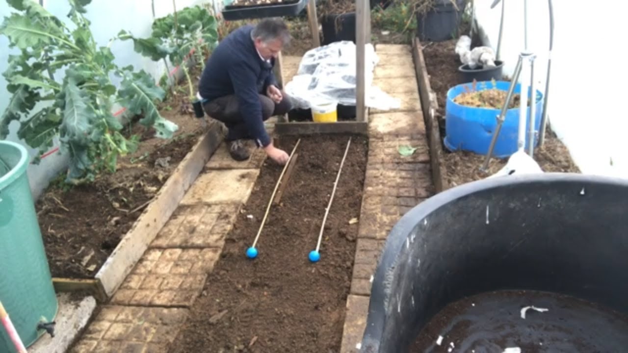 How to lay out a Polytunnel | Gardening for Beginners - YouTube