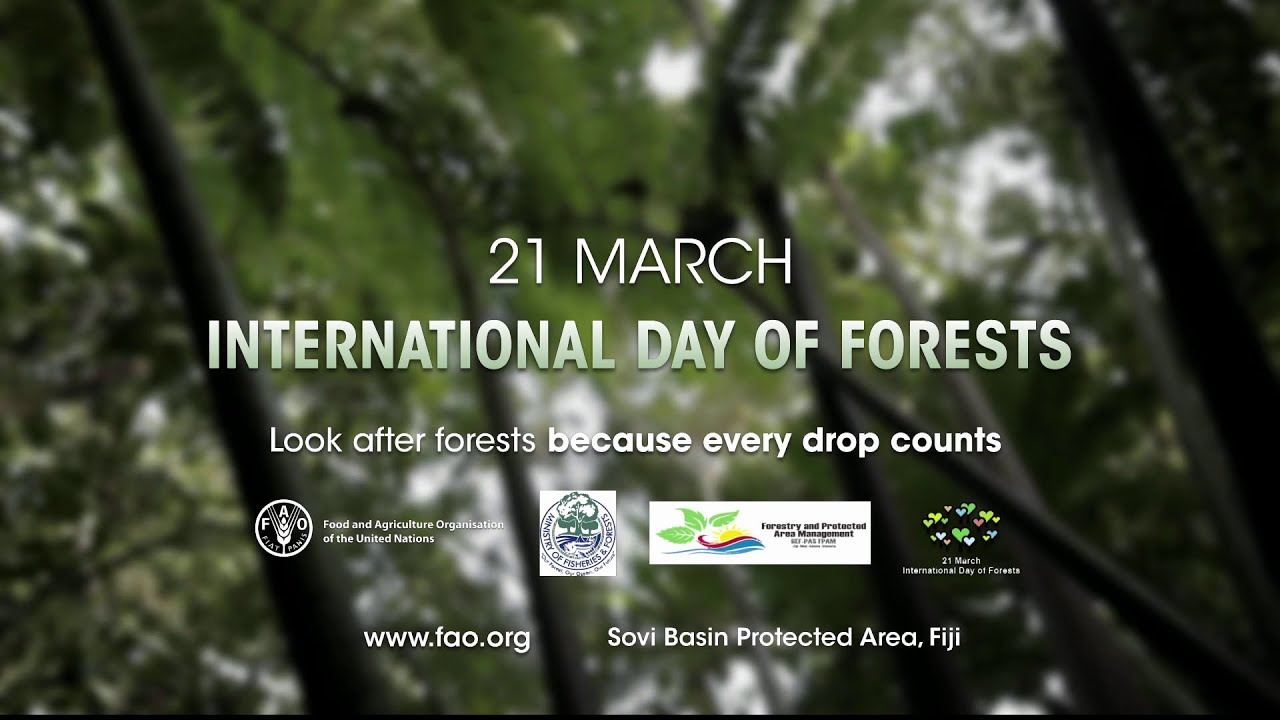 Why Forests Matter, International Day of Forests 2016 Fiji - YouTube