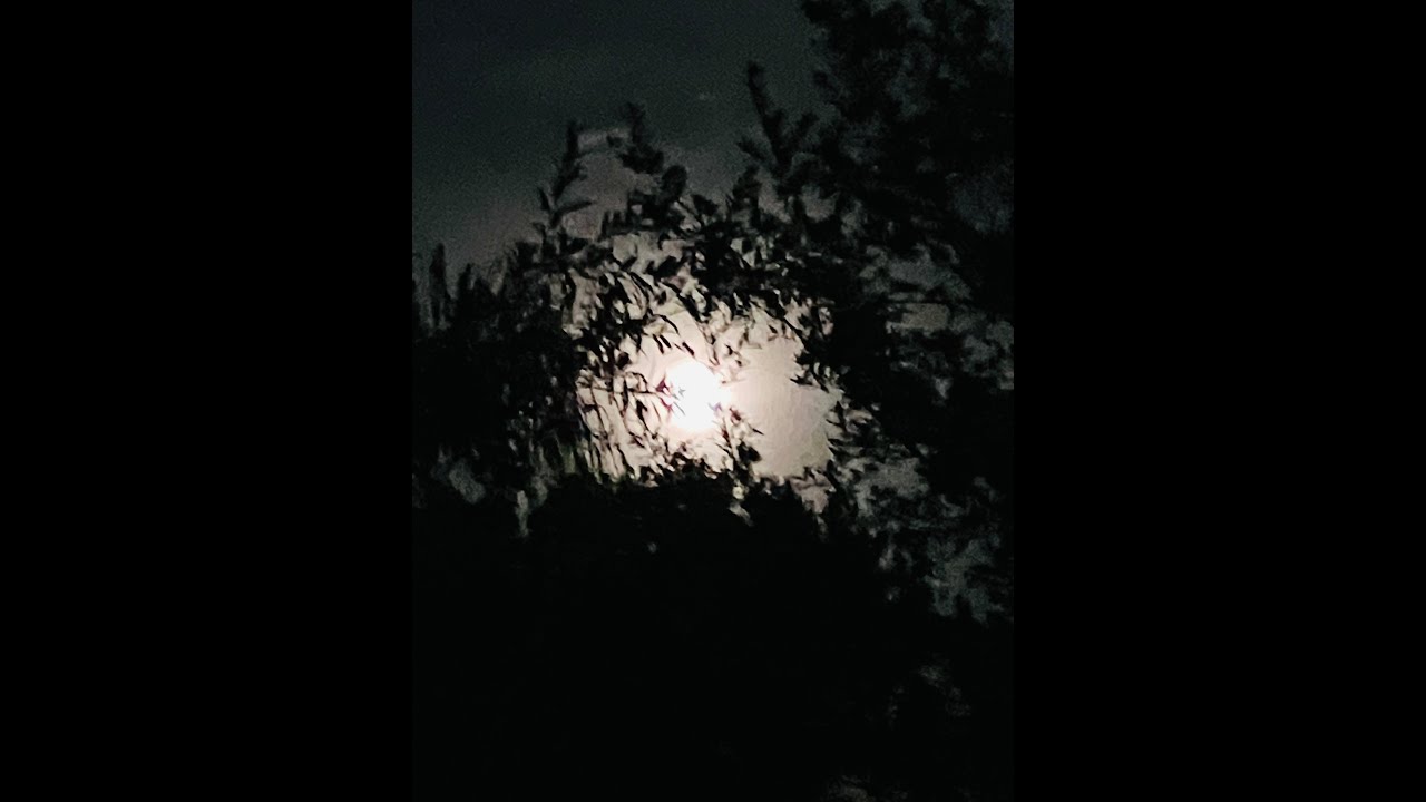 Magic Meda Tarot & More - Pink Full Moon April 2022 - Love for the ...