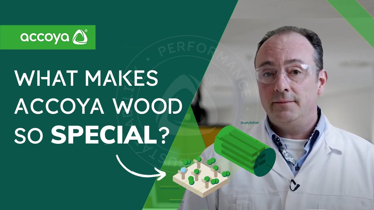 What makes Accoya wood so special? | Accoya Wood - YouTube