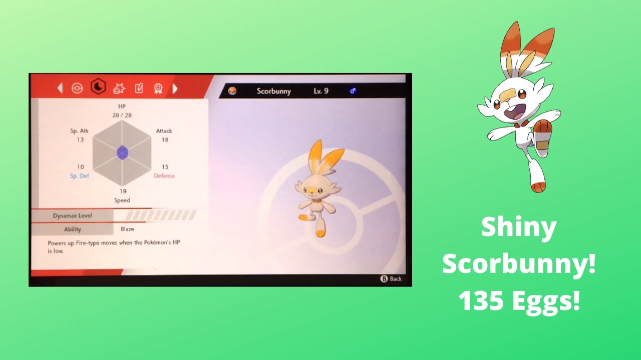 Shiny Scorbunny After 135 Eggs Hatched! (Shield) - YouTube