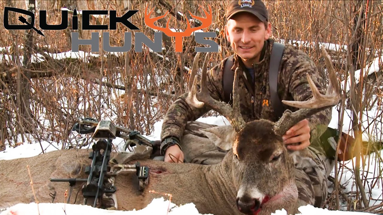 Canadian Whitetail, How To Hunt | Quick Hunts TV - YouTube
