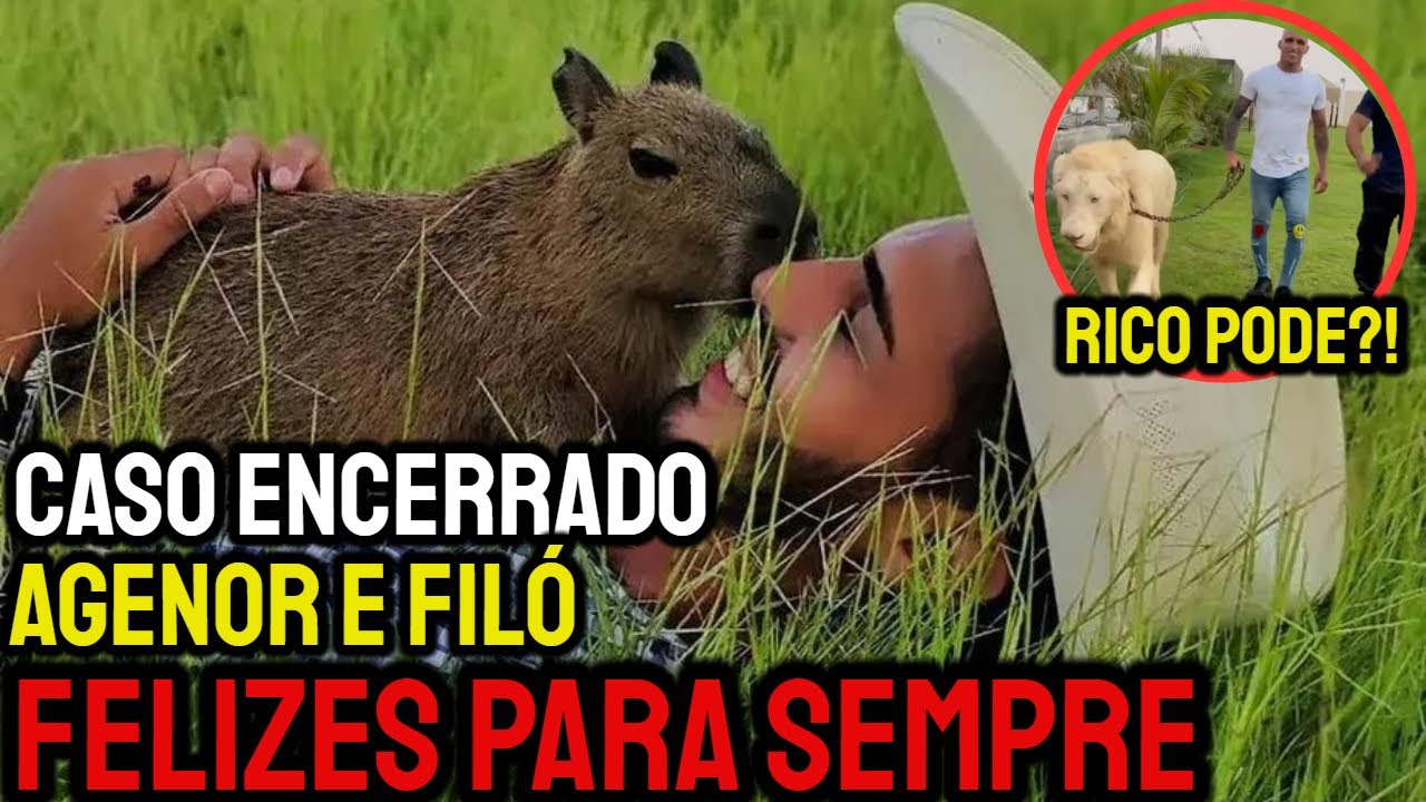PARA A TRISTEZA DA DESGRAÇA O FINAL FELIZ CAPIVARA FILÓ - YouTube