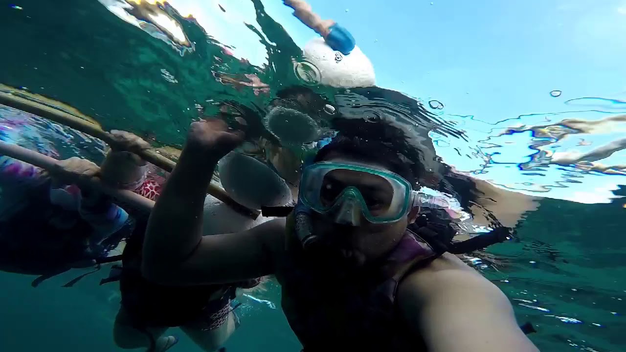 Moalboal's Sardines Run and Turtle Watching - YouTube