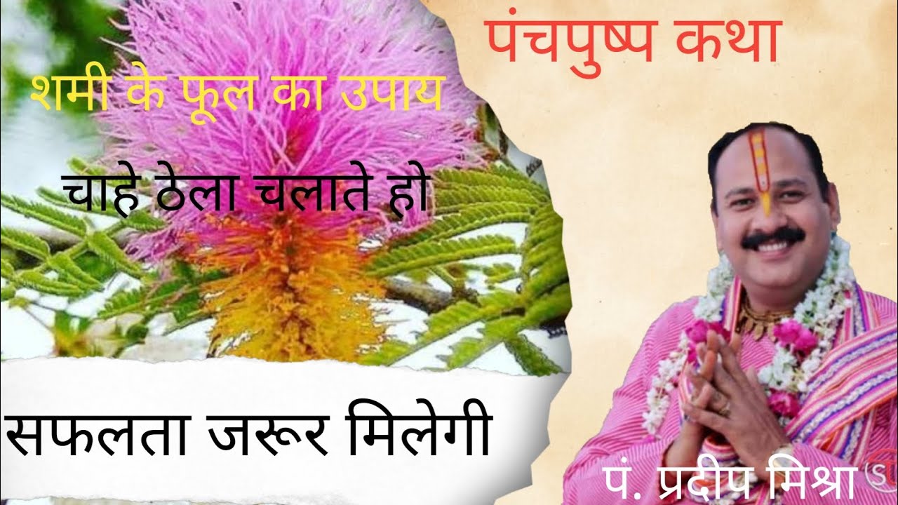 शमी के फूल का उपाय II Shami Ke Phool Ka Upay ll Pandit Pradeep Mishra ...
