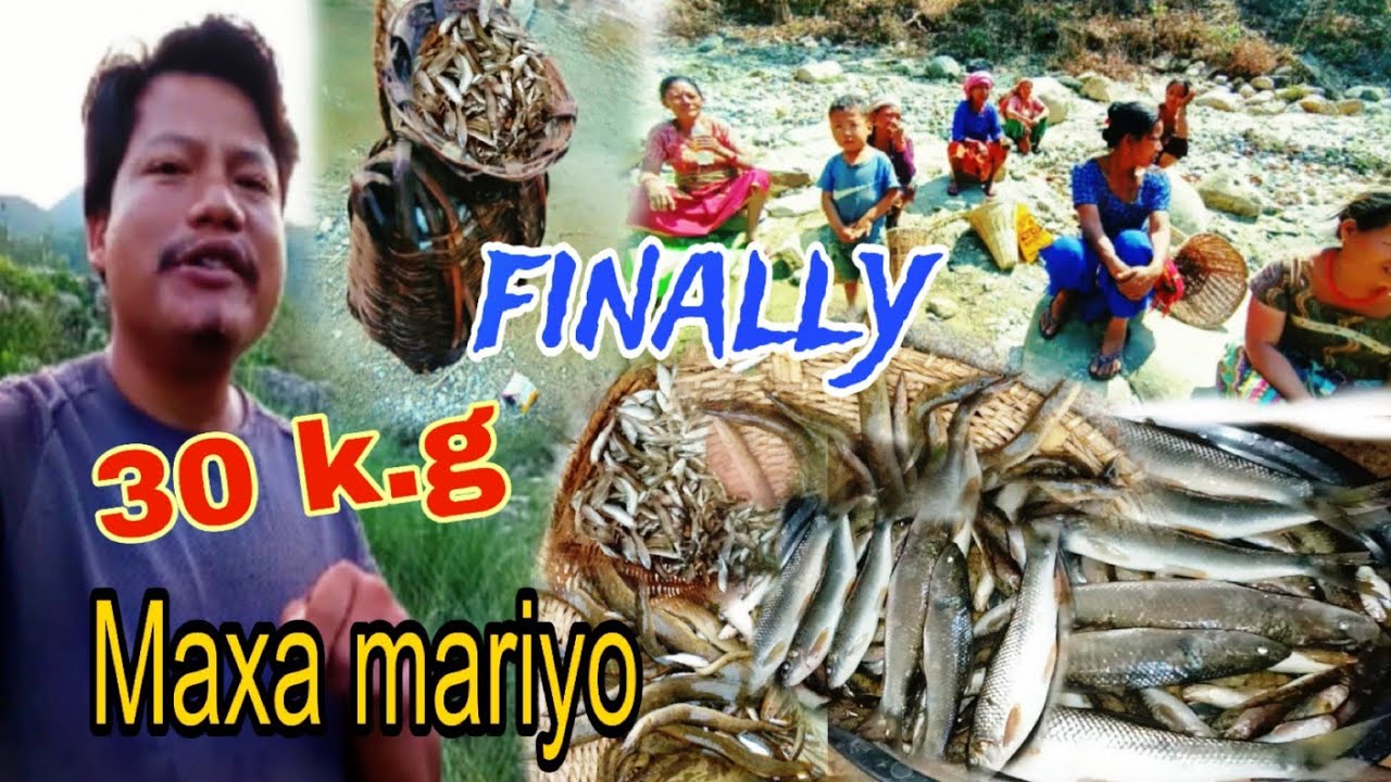 Finally Gauko Kholama 30 K.G Baam Maxa Mariyo 🐠🦈 Pat -2 Binaya Vlog || @souravjoshivlogs7028 ...