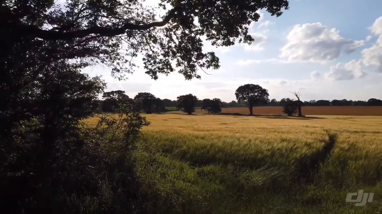 4K Weavers Way North Walsham - Felmingham - YouTube