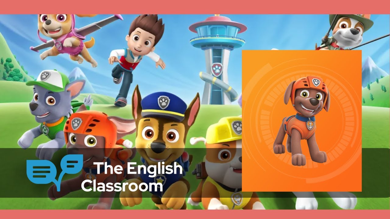 Paw Patrol book - Zuma. Part of the Pocket Library by Nickelodeon (Read ...