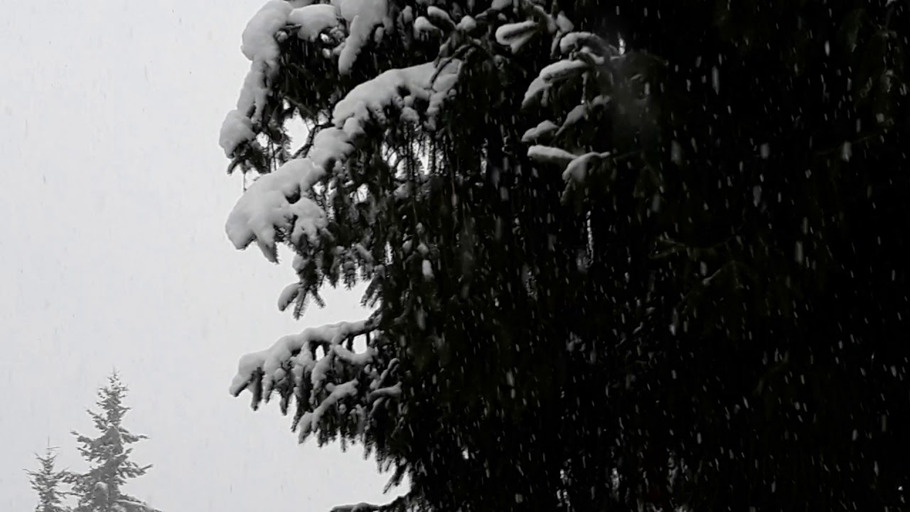 SNOWING AGAIN ☃️☃️☃️☃️☃️ - YouTube