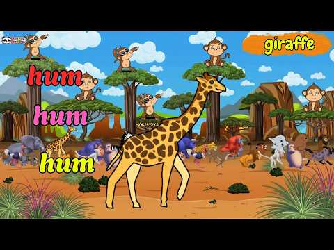 ABC Safari Animals Sounds Song for kids | Learn Animal names and sounds | BooBooBuddies
