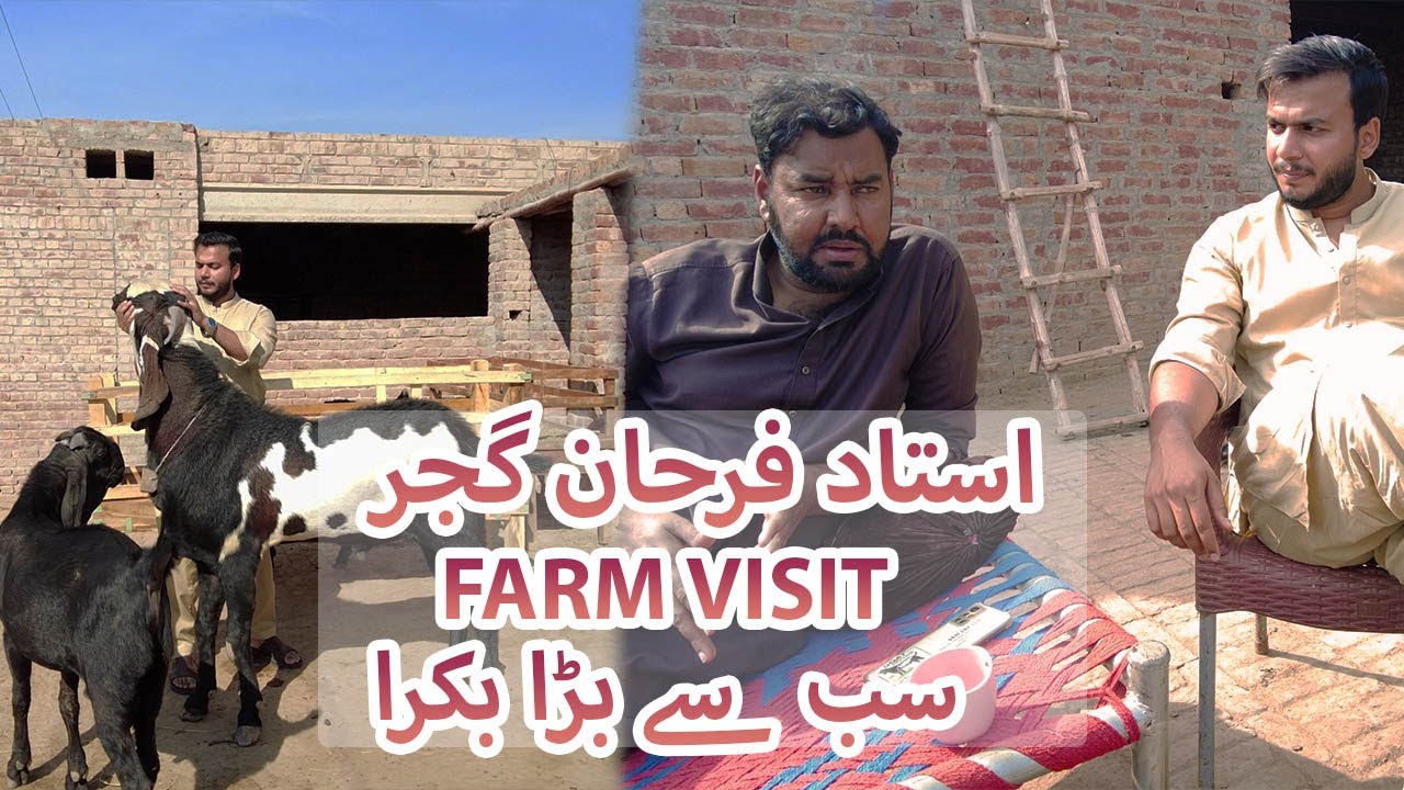 Ustad Farhan Ilyas Gujjar | Farm Visit | Got Life line Farm | Best ...