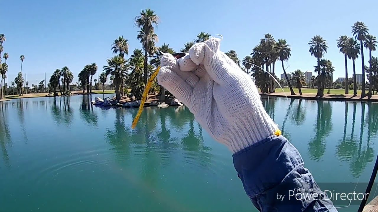 Red Flake VS Purple Flake Challenge Bass Fishing Encanto Park Phoenix ...