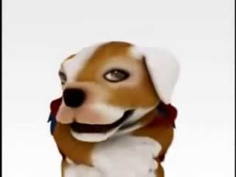 El perro chacarrón y sus amigos - YouTube