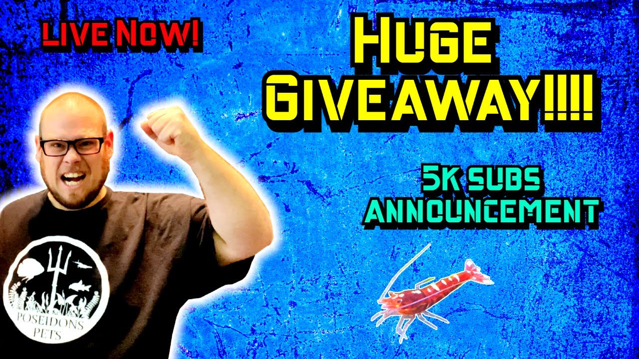 5k Subscriber Huge Giveaway Announcement and Weekly Giveaway!!! - YouTube
