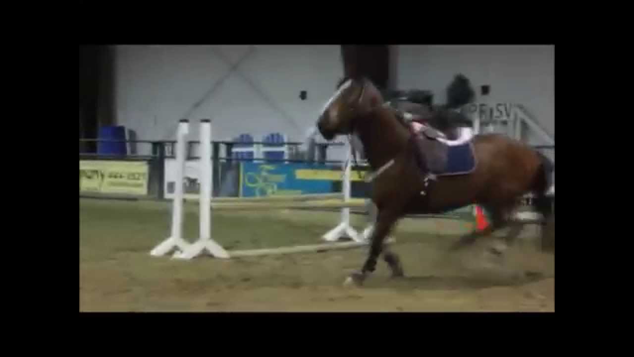 Horse fails 2014 - YouTube