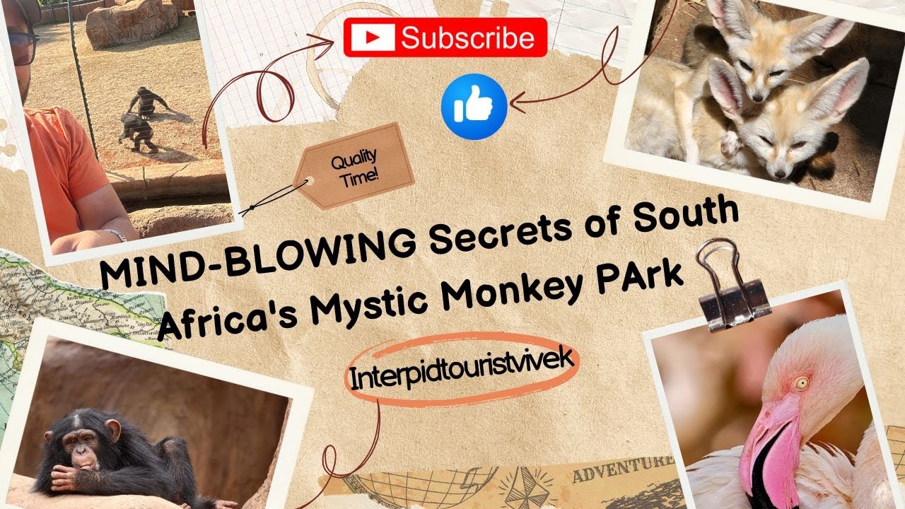MIND-BLOWING Secrets of South Africa's Mystic Monkey Sanctuary - YouTube